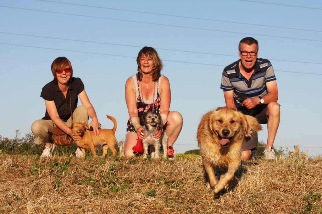 Welkom! - Hondencoach Natalie Bosman